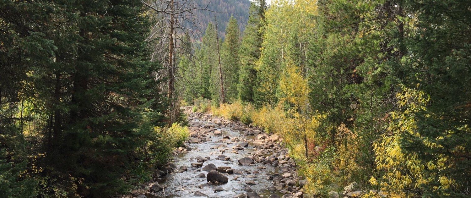 Resources - Interstate Council on Water Policy