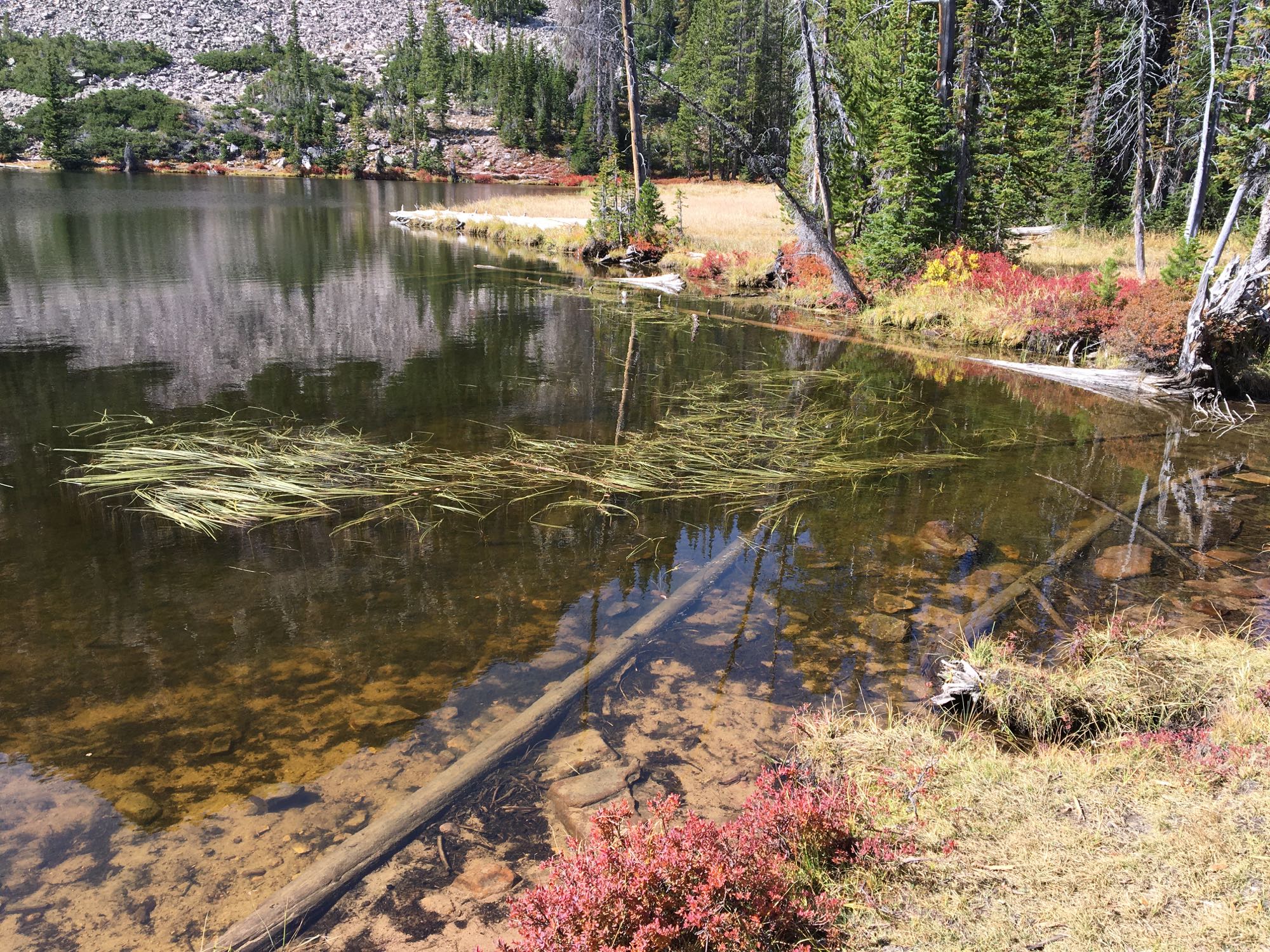 2022 WRDA Support Letters - Interstate Council on Water Policy